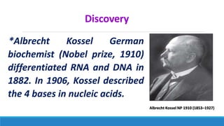 Role of nucleotides in infant formula | PPTX