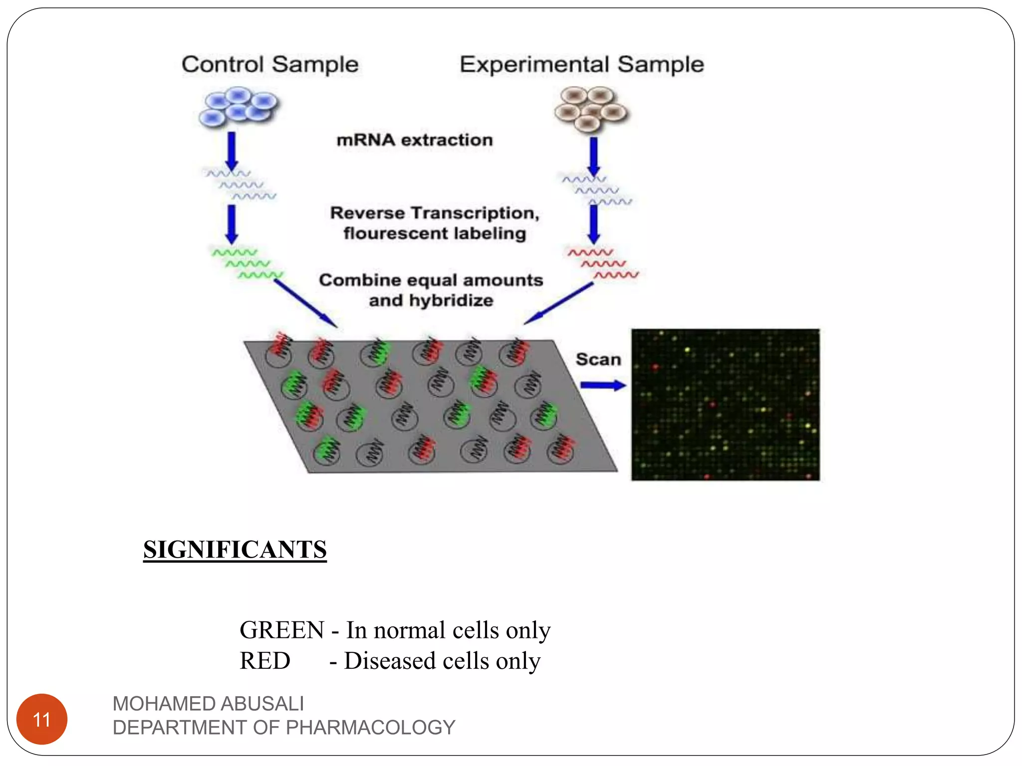 Role of nuclicacid microarray &protein micro array for drug discovery ...