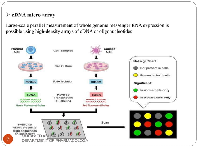 Role of nuclicacid microarray &protein micro array for drug discovery process | PPTX ...