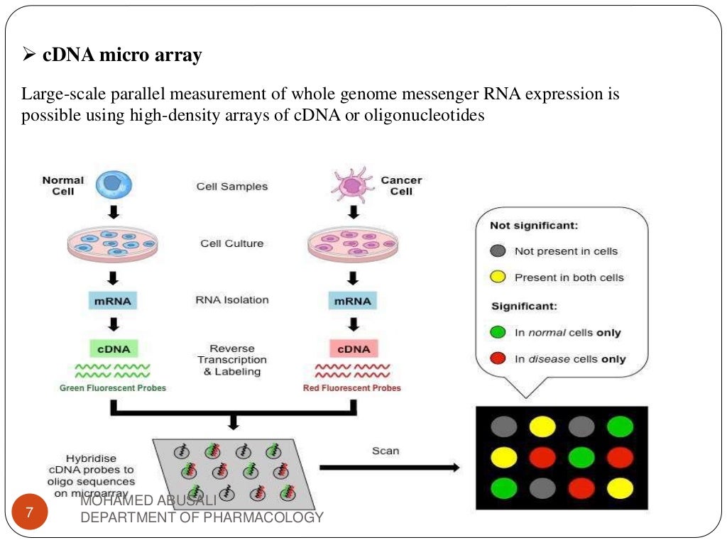 Role of nuclicacid microarray &protein micro array for drug discovery…