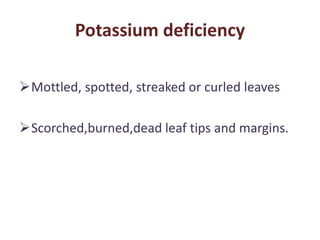 Role of nutrients in controlling diseases development in.pptx