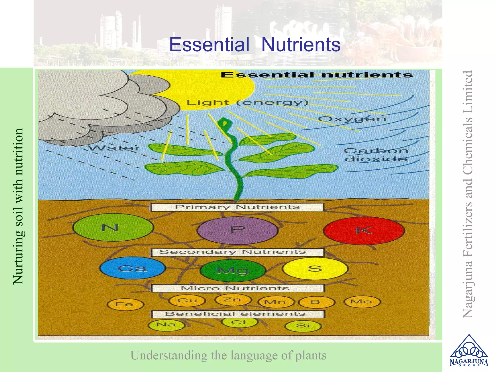 Role of nutrition in farm management a review by nagarjuna fertilizers ...