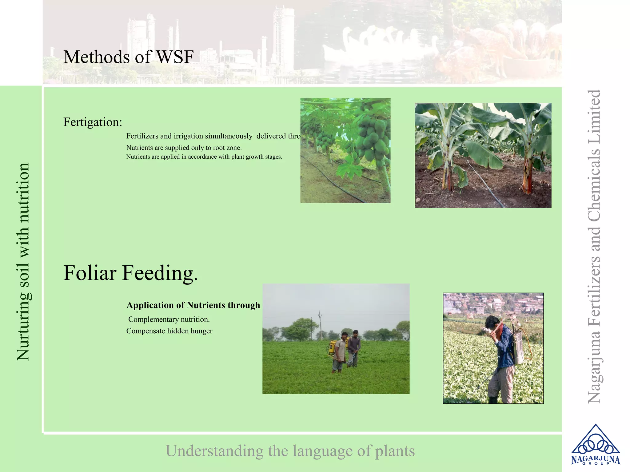 Role of nutrition in farm management a review by nagarjuna fertilizers ...