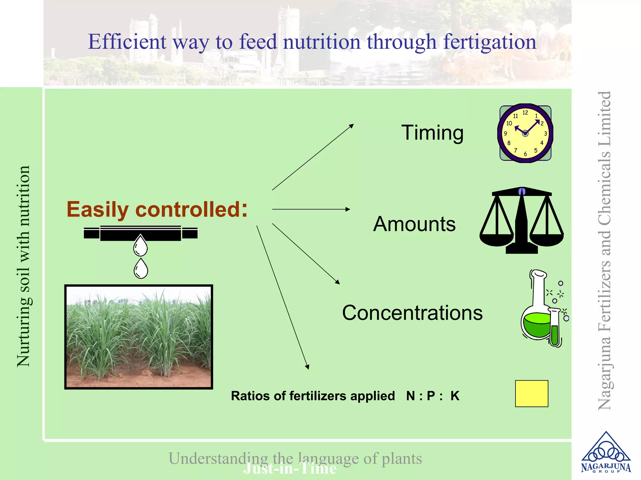 Role of nutrition in farm management a review by nagarjuna fertilizers ...