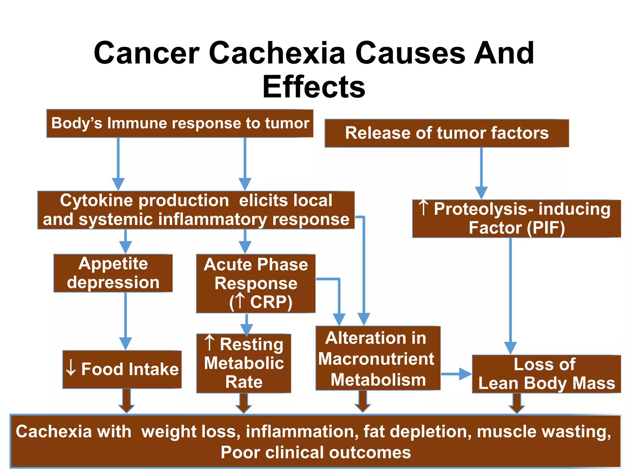 Role of nutrition in radiotherapy | PPTX
