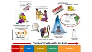 Comprehensive Overview of Nutrition's Role Across the Human Life Cycle ...