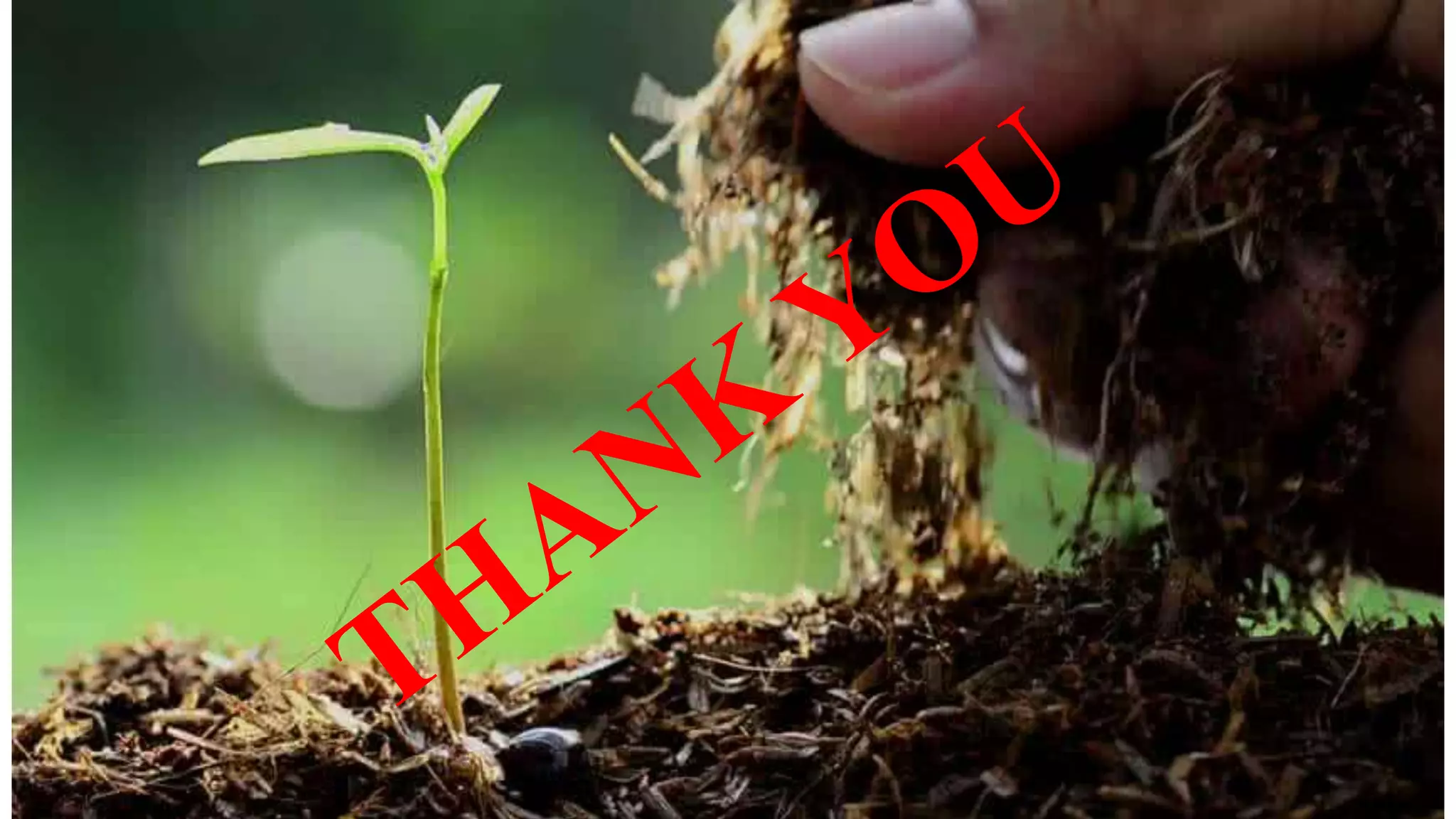 ROLE OF ORGANIC MANURES IN AGRICULTURE.pptx