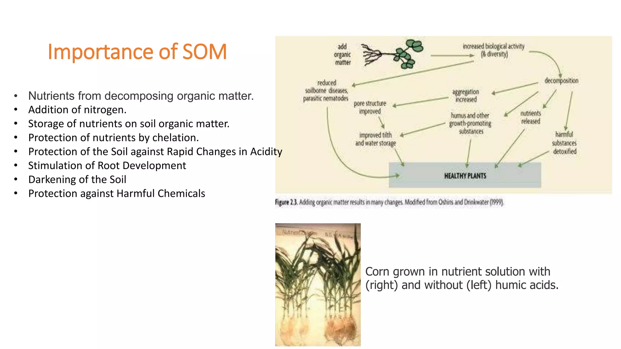 Role of organic matter in maintenance of soil fertility | PPTX