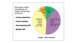 Role of organic matter in maintenance of soil fertility | PPTX