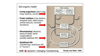 Role of organic matter in maintenance of soil fertility | PPTX