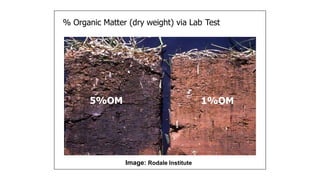 Role of organic matter in maintenance of soil fertility | PPTX