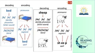 Role of Orthographic Mapping Science of Reading.pptx