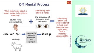 Role of Orthographic Mapping Science of Reading.pptx