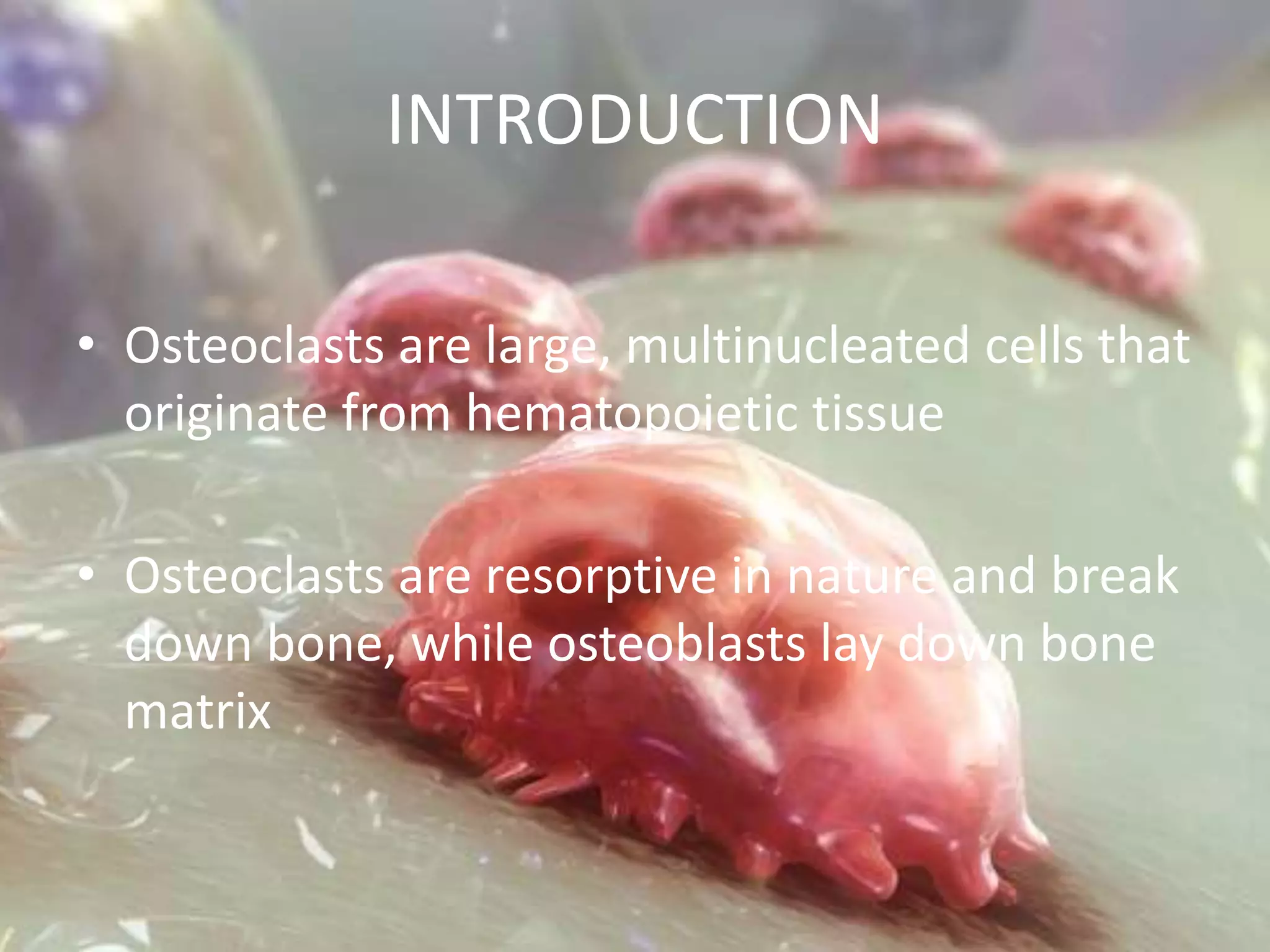 Role of osteoclasts in periodontal health and disease | PPTX