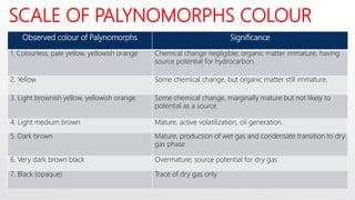 ROLE OF PALYNOLOGY IN PALEOPALYNOLOGY.pptx
