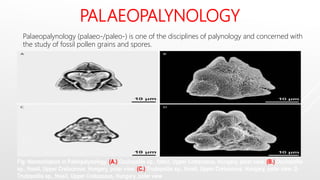 ROLE OF PALYNOLOGY IN PALEOPALYNOLOGY.pptx