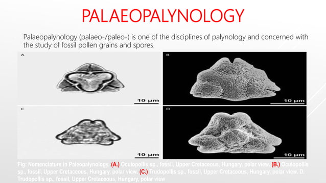ROLE OF PALYNOLOGY IN PALEOPALYNOLOGY.pptx