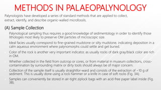ROLE OF PALYNOLOGY IN PALEOPALYNOLOGY.pptx