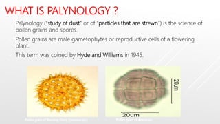 ROLE OF PALYNOLOGY IN PALEOPALYNOLOGY.pptx