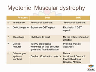Role of panchakarma in Muscular dystrophy.pptx