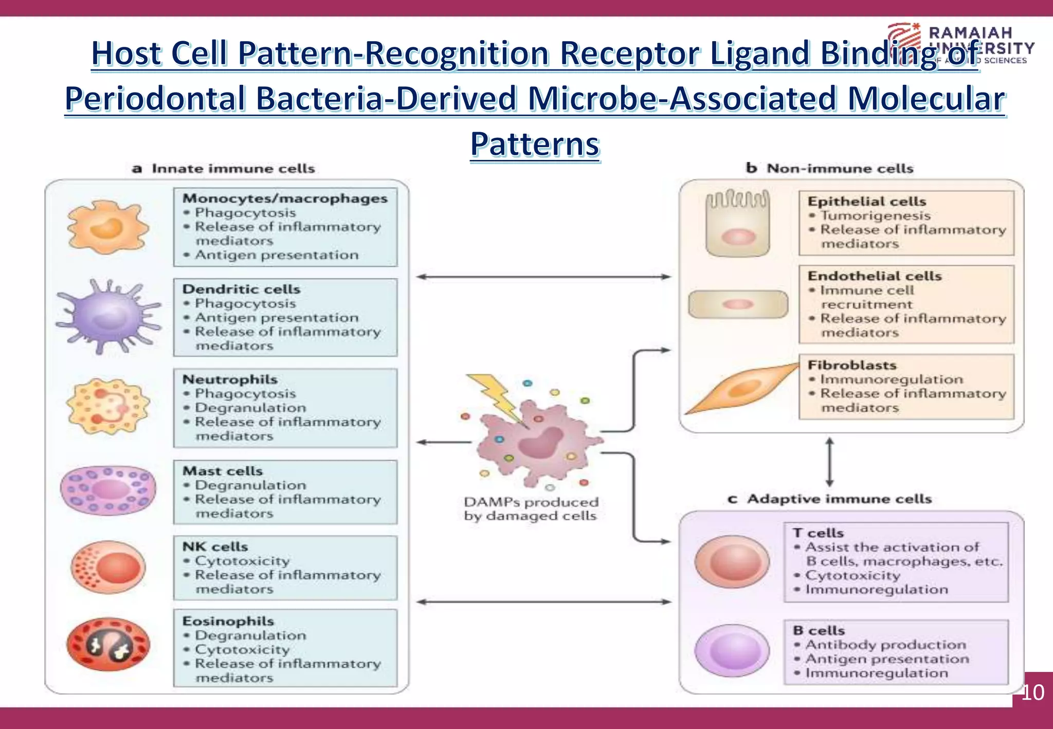 ROLE OF PATHOGEN ASSOCIATED MOLECULAR PATTERN IN PERIODONAL DISEASE.pptx