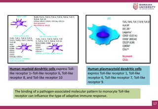 ROLE OF PATHOGEN ASSOCIATED MOLECULAR PATTERN IN PERIODONAL DISEASE.pptx