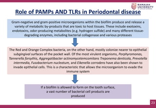 ROLE OF PATHOGEN ASSOCIATED MOLECULAR PATTERN IN PERIODONAL DISEASE.pptx
