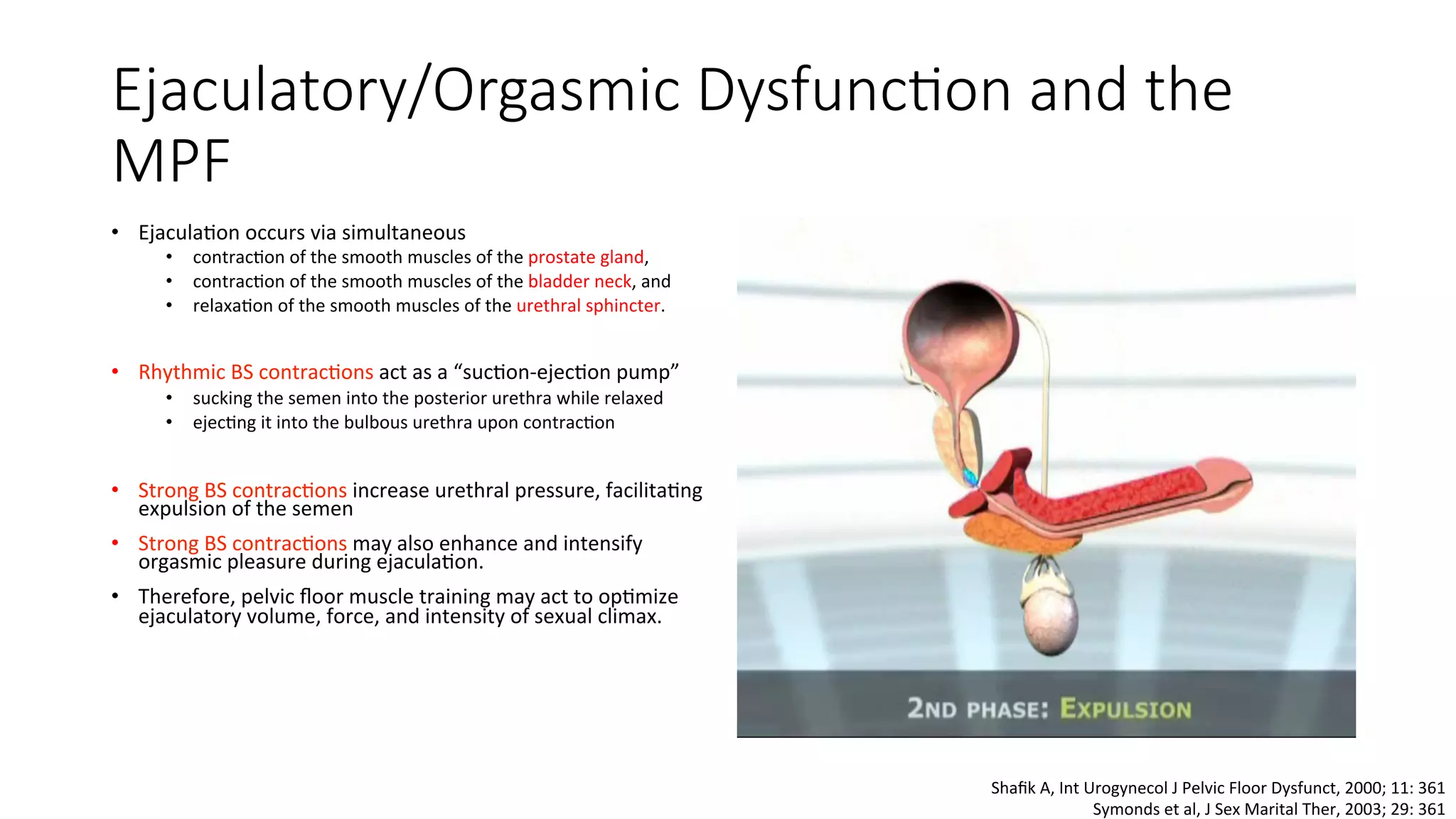 Role of pelvic floor in male sexual dysfunction | PDF