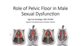 Role of pelvic floor in male sexual dysfunction | PDF