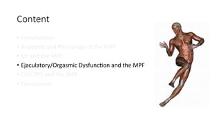 Role of pelvic floor in male sexual dysfunction | PDF