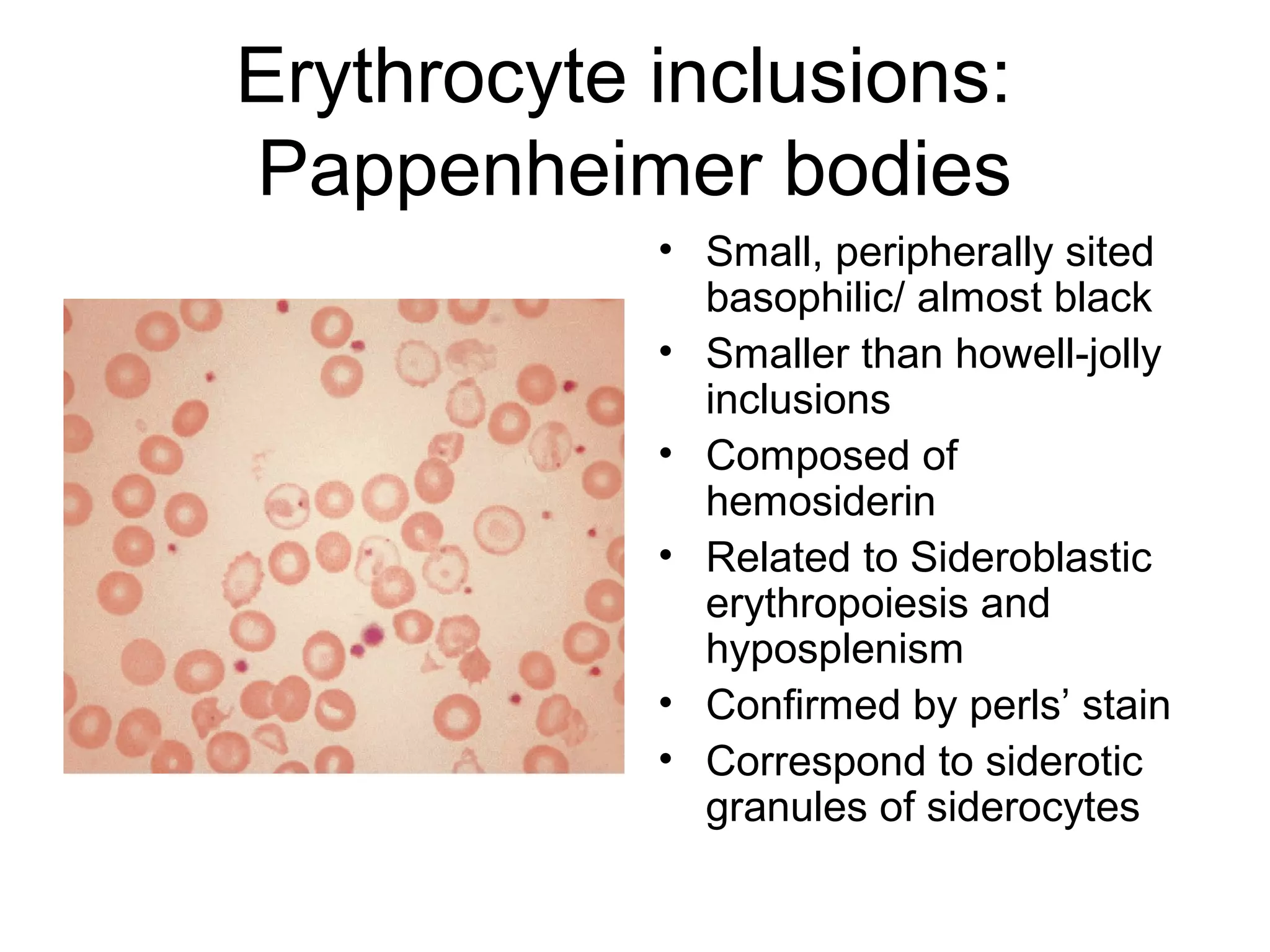 Role of peripheral blood | PPT