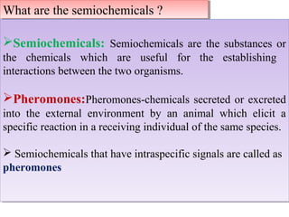 Role of pheromones in stored grain pest management SSNAIK TNAU | PPT