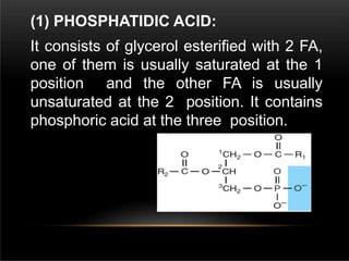 role of phospholipid in ARDS.ppt