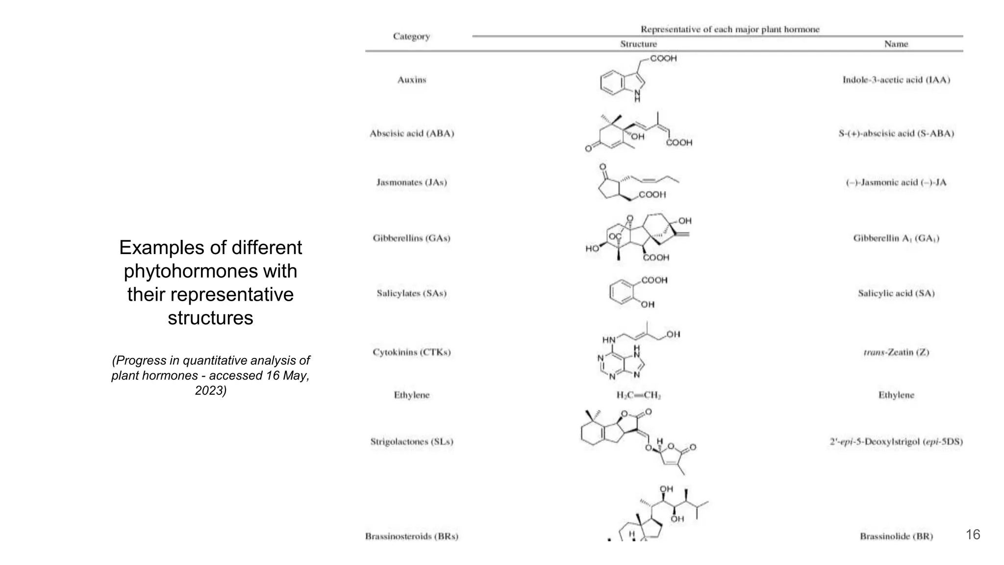 Role of Phytohormones in Tissue Culture | PPTX