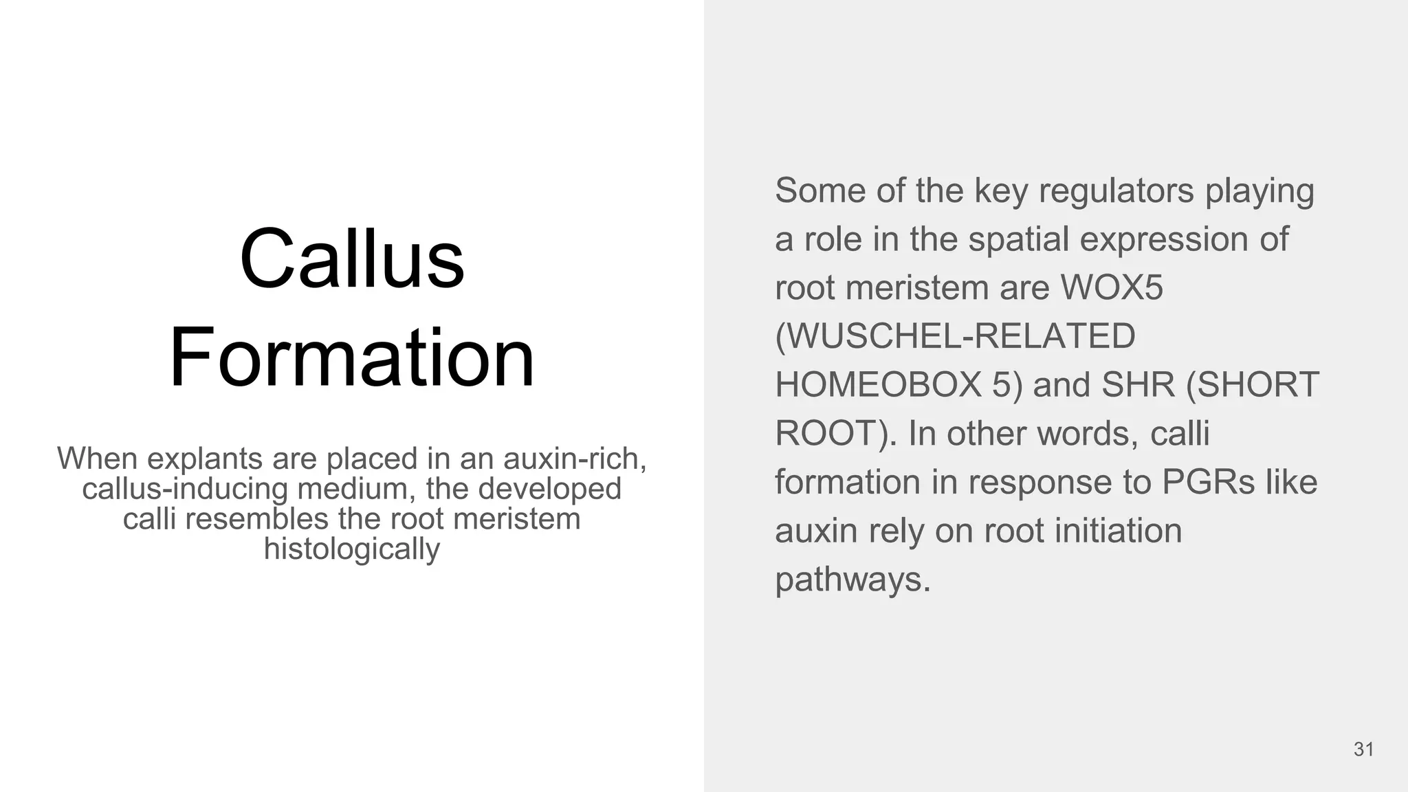 Role of Phytohormones in Tissue Culture | PPTX
