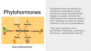 Role of Phytohormones in Tissue Culture | PPTX