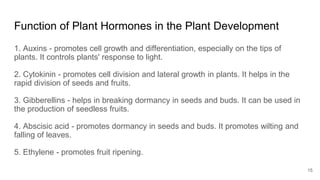 Role of Phytohormones in Tissue Culture | PPTX