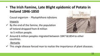 Role of phytopathology in Agriculture | PPTX