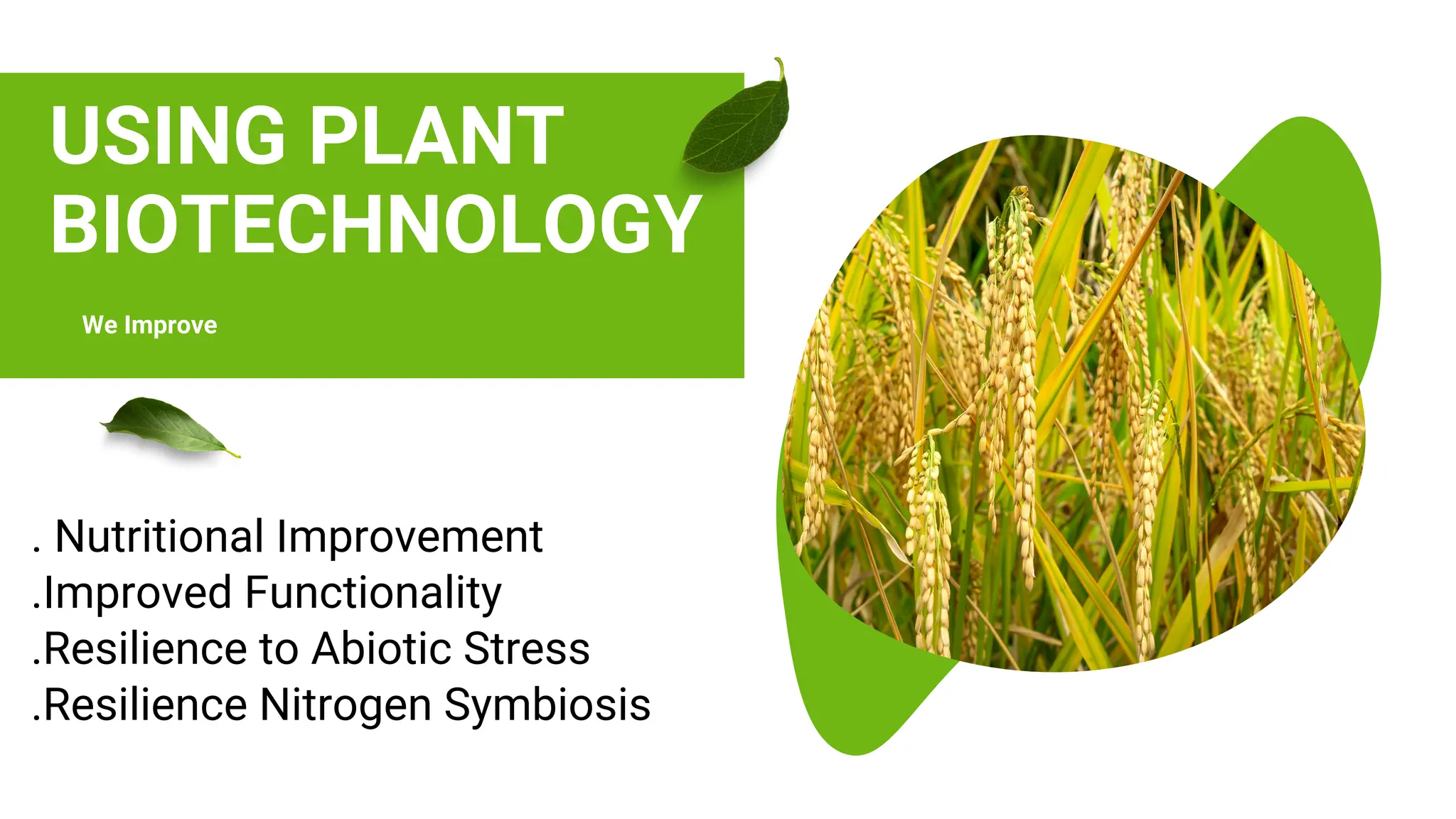 Role of Plant Bio-technology in Agriculture.pdf