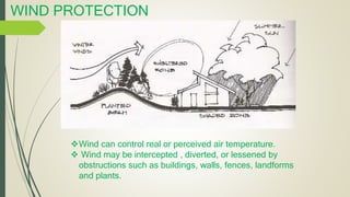 Role of plants in climate responsive building | PPTX