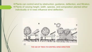 Role of plants in climate responsive building | PPTX
