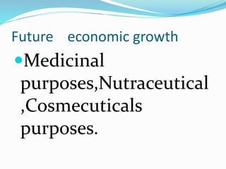 Role of plants in economy | PPTX