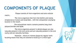 Role of plaque in etiology of dental caries | PPTX