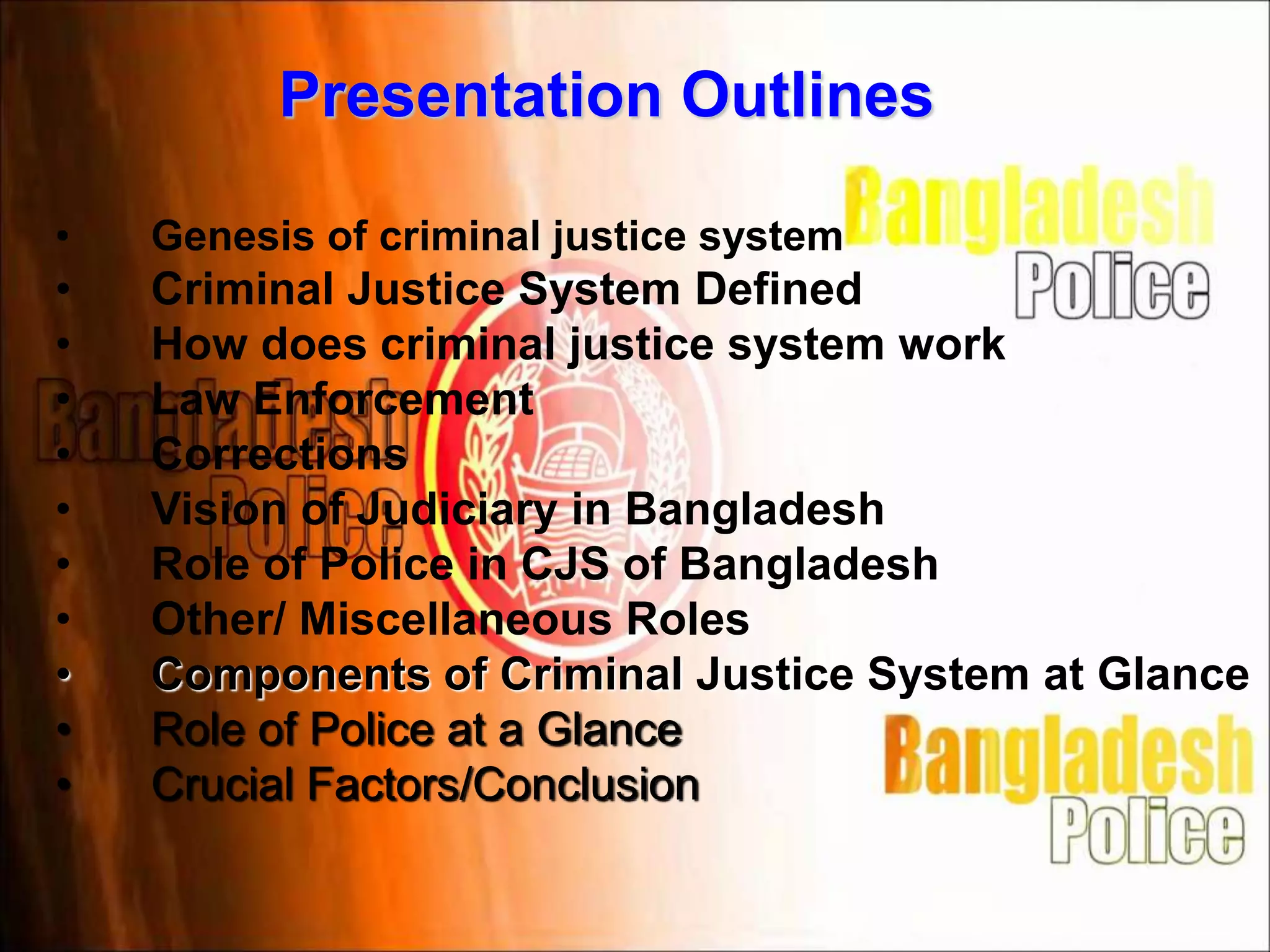 Role of police in criminal justice system | PPT