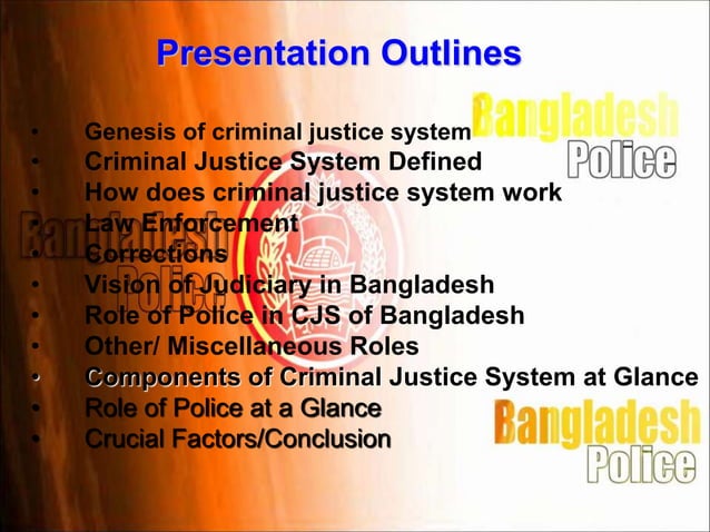 Role of police in criminal justice system | PPT
