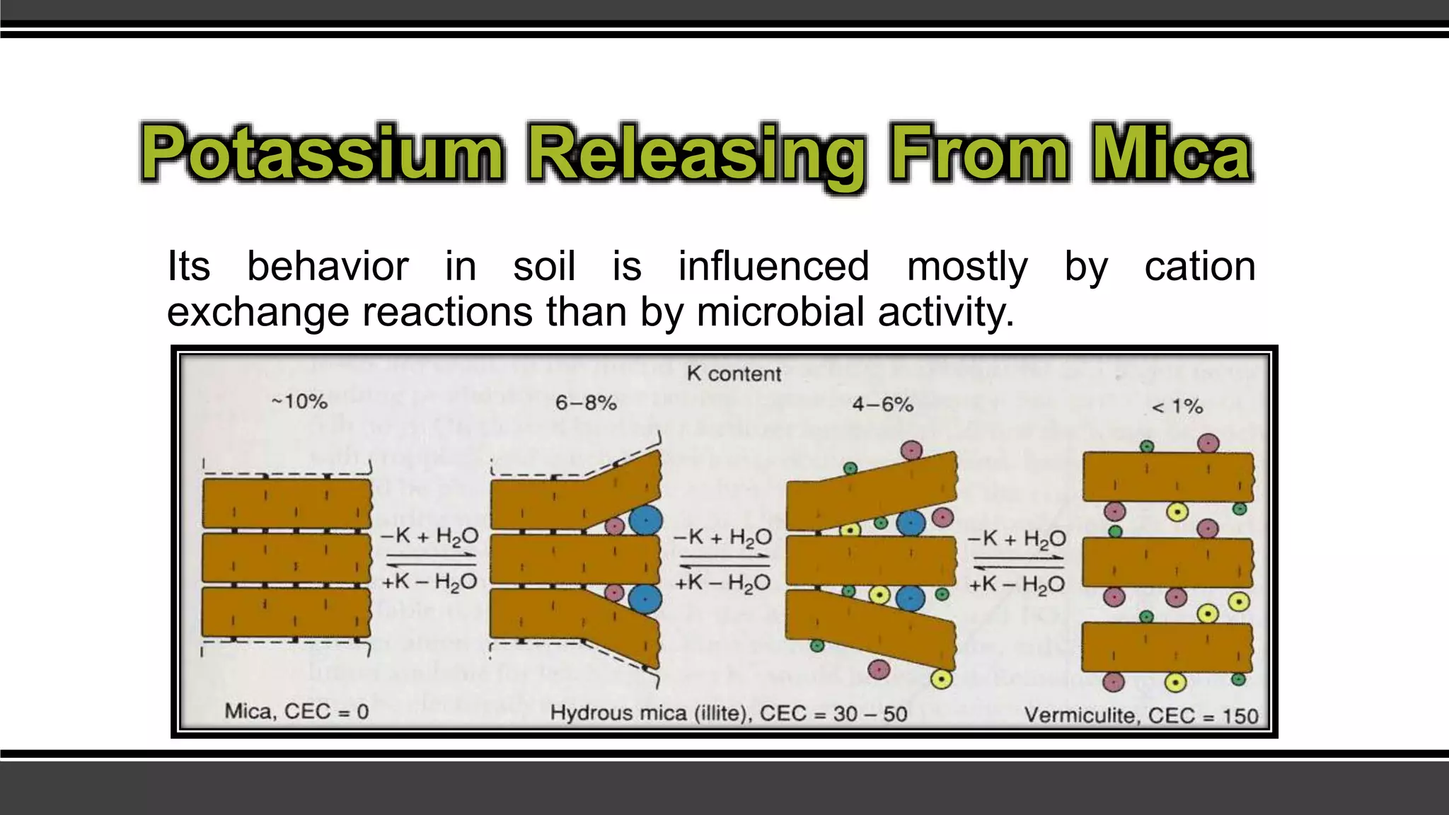 Role of Potassium in Plant Growth | PPSX