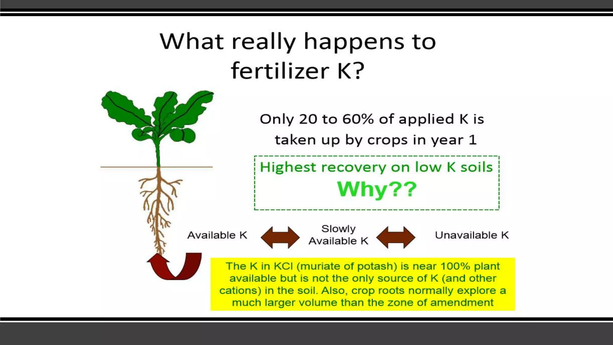 Role of Potassium in Plant Growth | PPSX