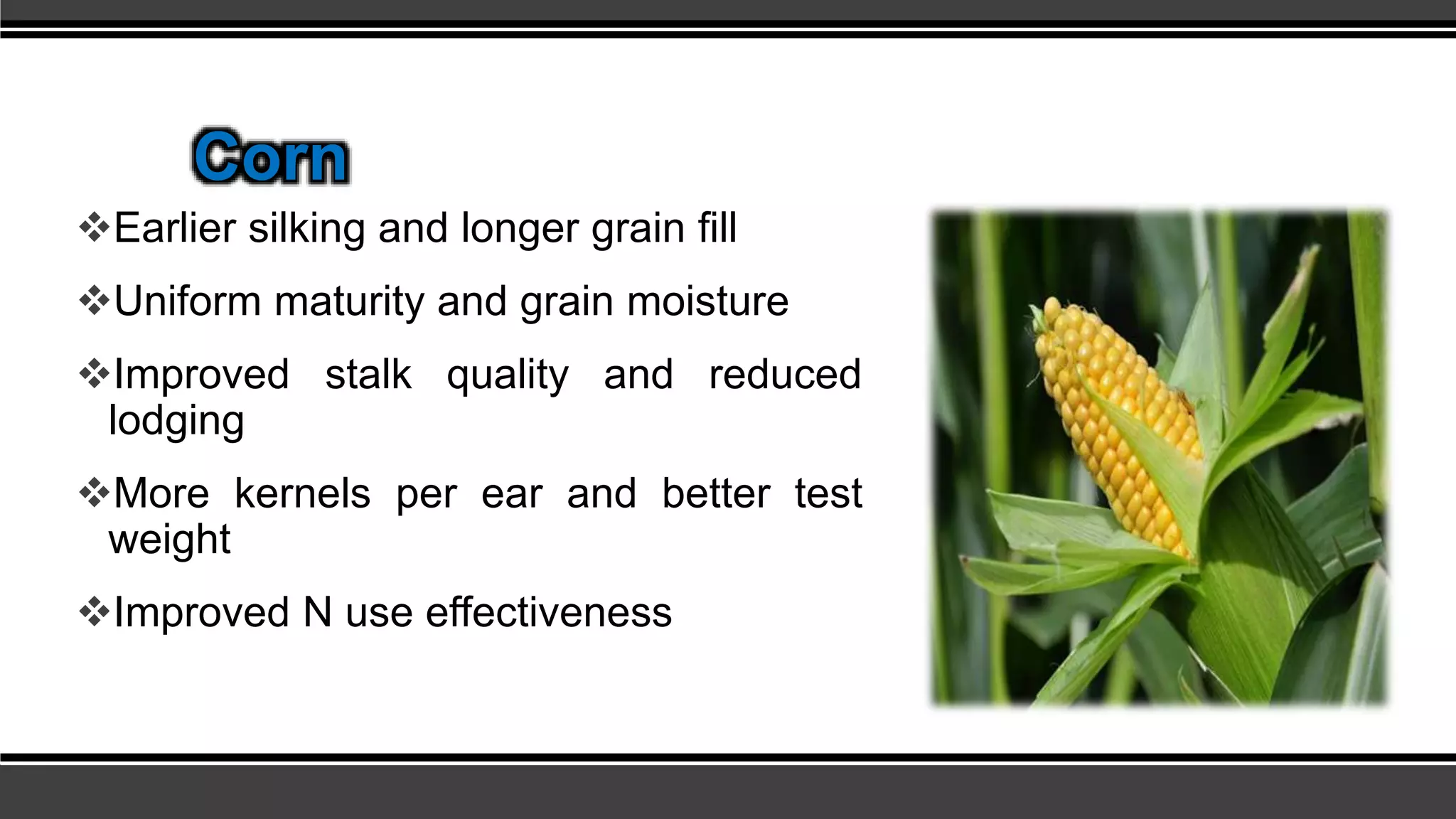 Role of Potassium in Plant Growth | PPSX
