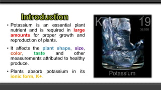 Role of Potassium in Plant Growth | PPSX