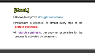 Role of Potassium in Plant Growth | PPSX